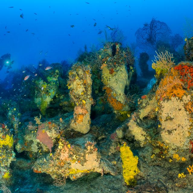 Définition | Mer méditerranée : qu'est-ce que c'est ? | Futura planète