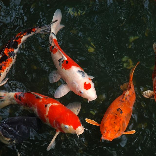 Définition | Bassin sédimentaire : qu'est-ce que c'est ? | Futura planète