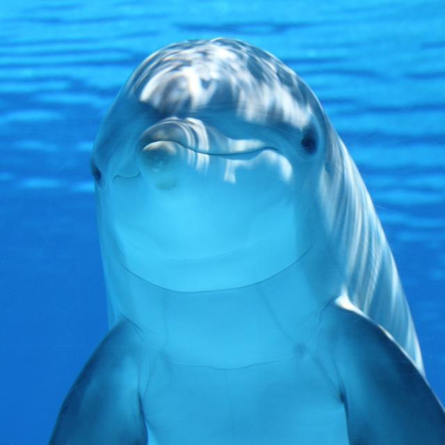 Définition | Biotope : qu'est-ce que c'est ? | Futura planète