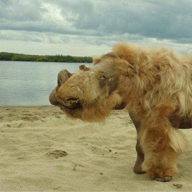 Ce que contenait l’estomac de ce loup de l’âge de glace éclaire le ...
