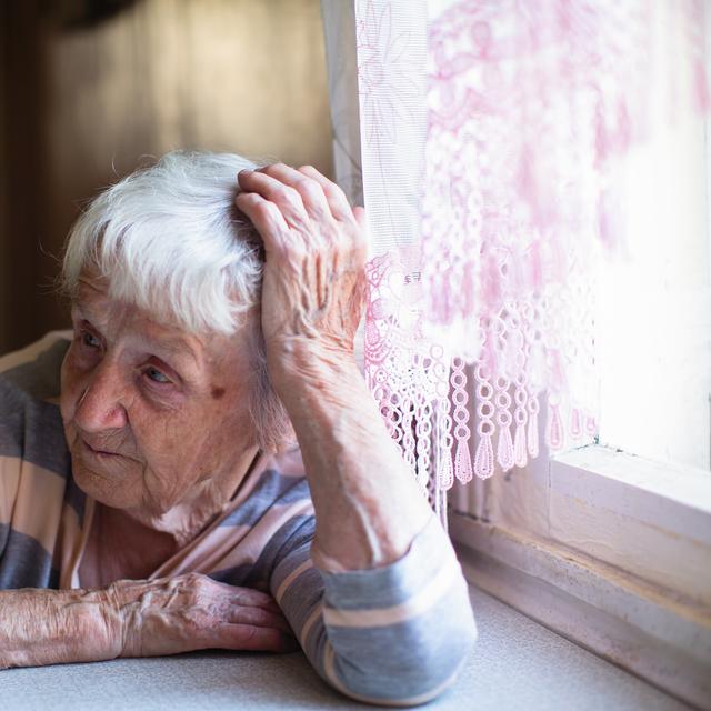 « On ne s’y attendait pas » : des bactéries intestinales face à la ...