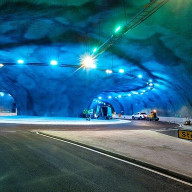 Définition | Biotope : qu'est-ce que c'est ? | Futura planète