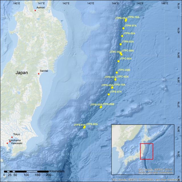 Définition | Trépan : qu'est-ce que c'est ? | Futura planète