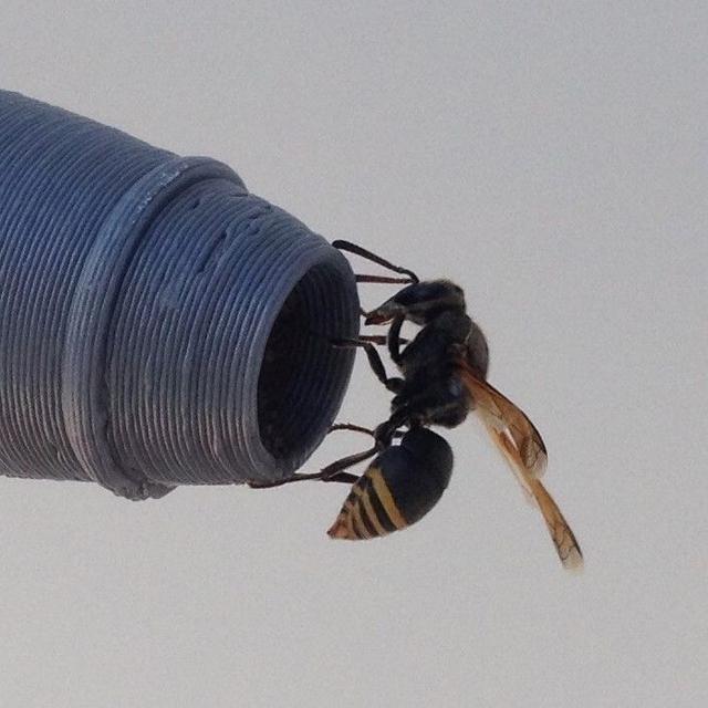 Comment les hélices toroïdales vont révolutionner l’aviation et la marine