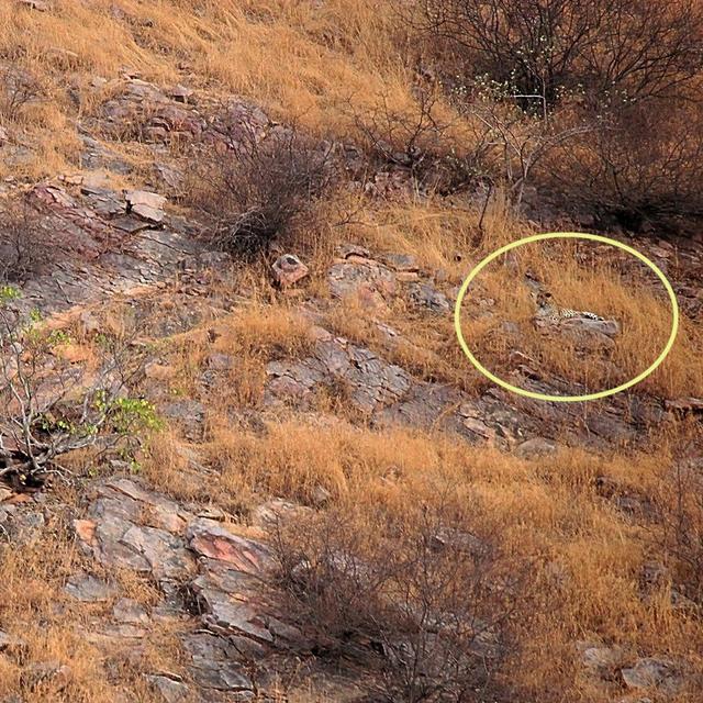 Définition | Mémoire cache : qu'est-ce que c'est ? | Futura tech