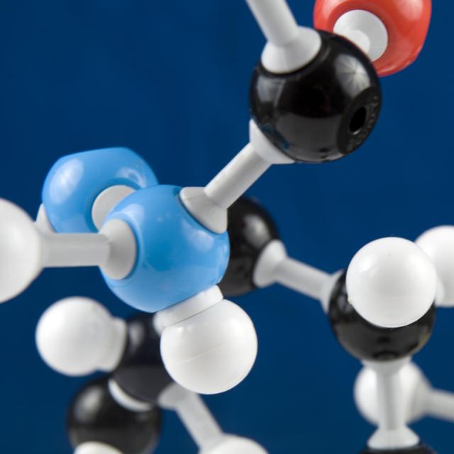 Définition | Pollution organique : qu'est-ce que c'est ? | Futura planète