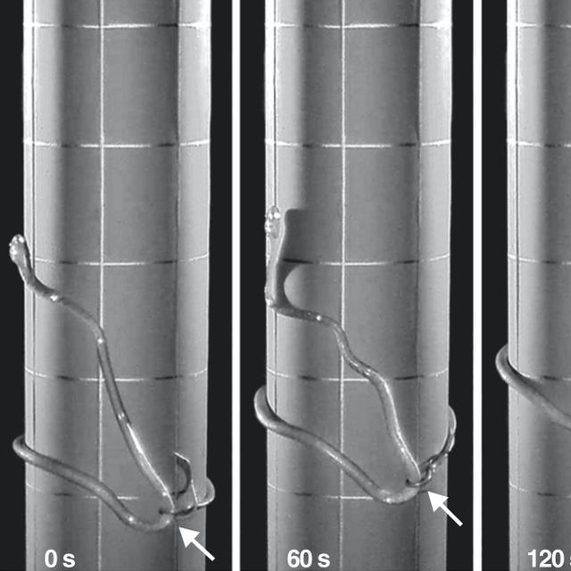 Définition | Chaînage : qu'est-ce que c'est ? | Futura maison