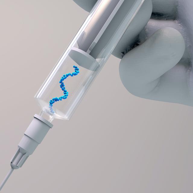 Cancer : une nouvelle génération de thérapies à ARNm capable de « faire ...