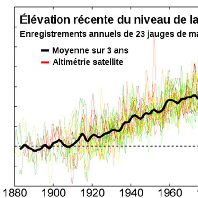 Quelle différence entre un homard et une langouste