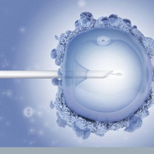 Des bébés naissent au Royaume-Uni avec le patrimoine génétique de trois ...