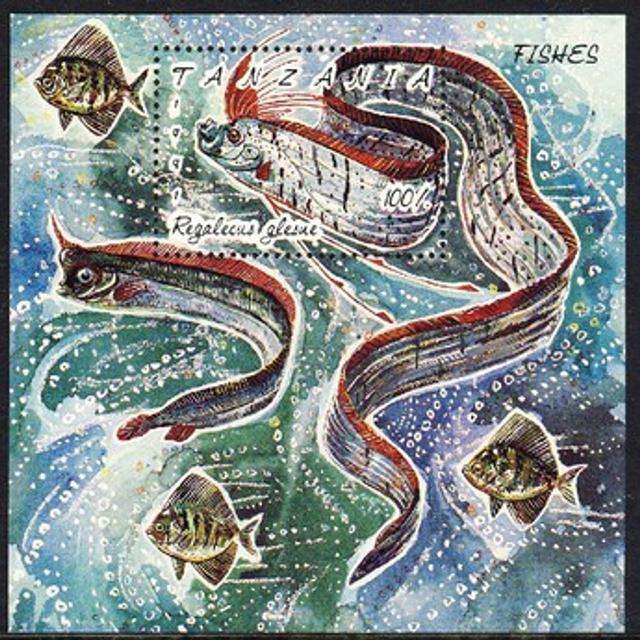 Définition | Régalec : qu'est-ce que c'est ? | Futura planète