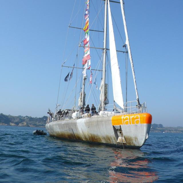 Définition | Sommet de la Terre : qu'est-ce que c'est ? | Futura planète