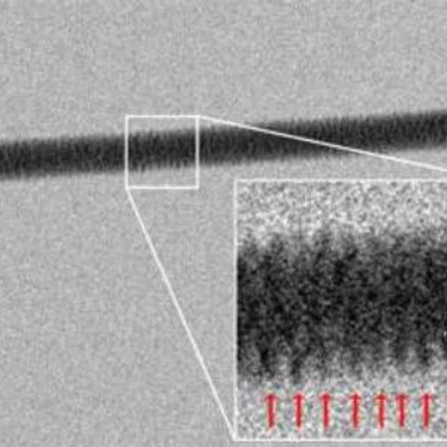 Première : la double hélice de l’ADN vue en microscopie électronique