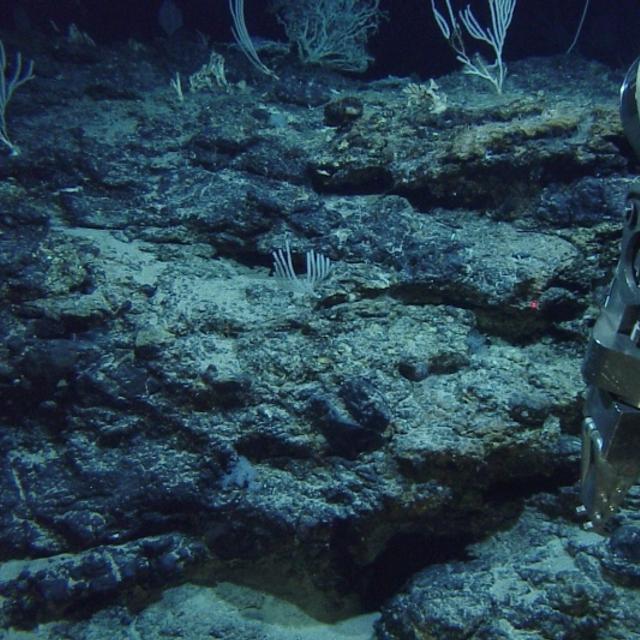 Le relief des fonds océaniques