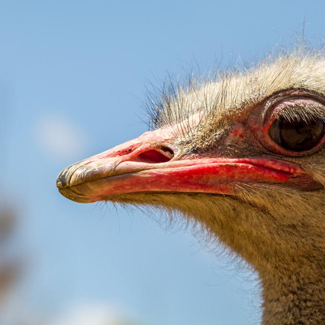 Définition | Sable : qu'est-ce que c'est ? | Futura planète
