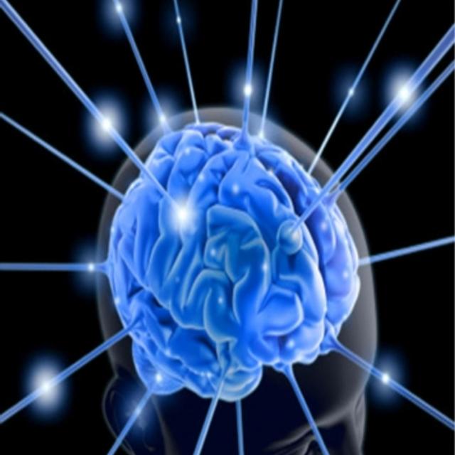 La nouvelle science de la mort : « Il se passe quelque chose dans le ...