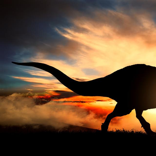 Les Actualités T-Rex | Futura