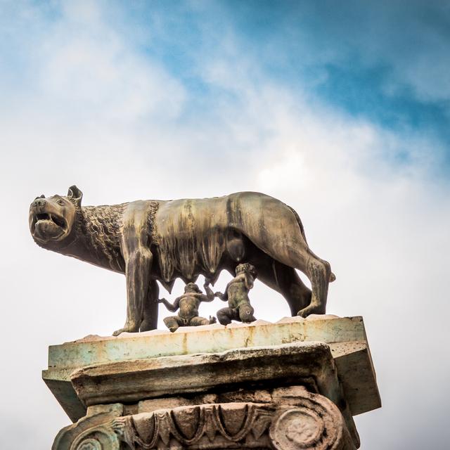 Définition | Trépan : qu'est-ce que c'est ? | Futura planète