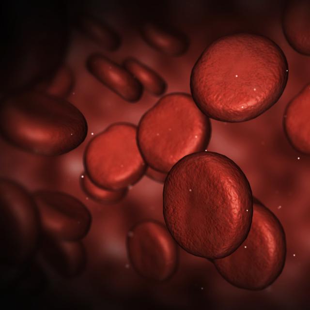Vampires : une maladie du sang à l'origine du mythe
