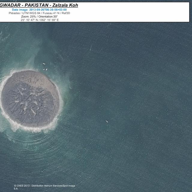 Le baluchithère : un géant fossile au Pakistan