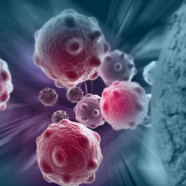 Définition | Granulosa : qu'est-ce que c'est ? | Futura santé