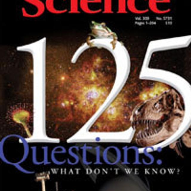 L'ère des dinosaures : introduction sur leur époque