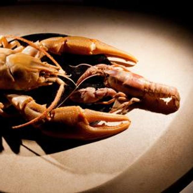 Quelle différence entre un homard et une langouste