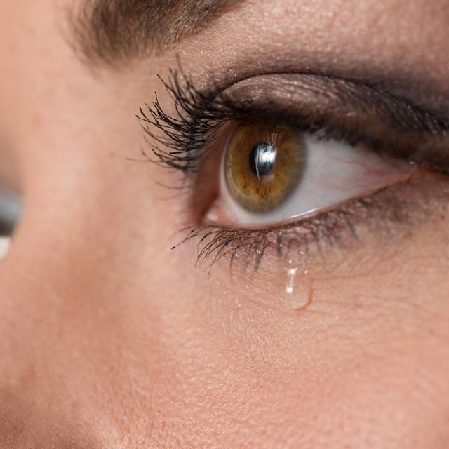 Quelle est la différence entre eau de source et eau minérale