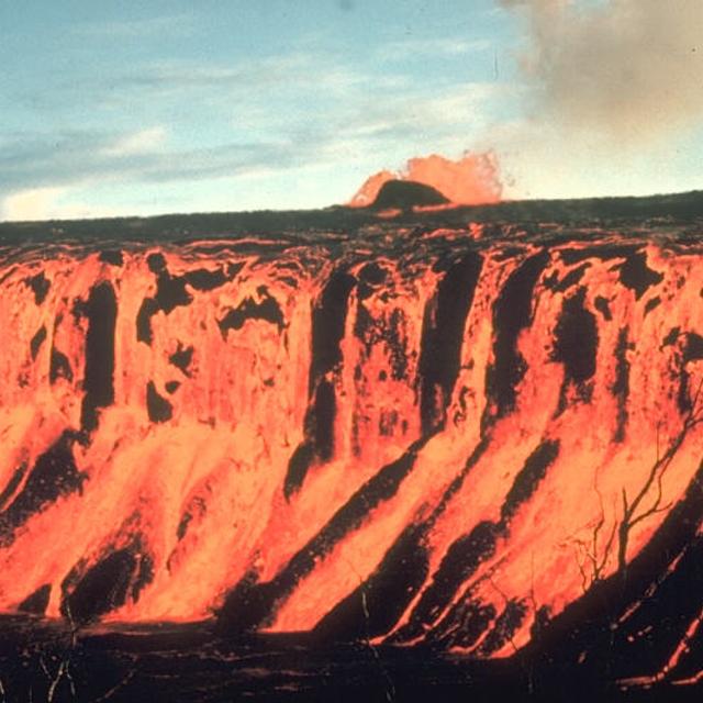 L'extinction massive du Dévonien due à un manque d'oxygène