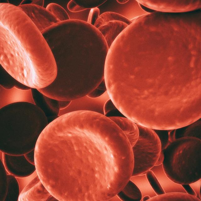 Définition | Plaquette : qu'est-ce que c'est ? | Futura santé