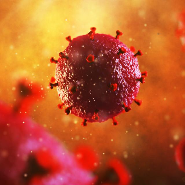 Ces 4 types de maladies graves que l'on peut attraper par les mains