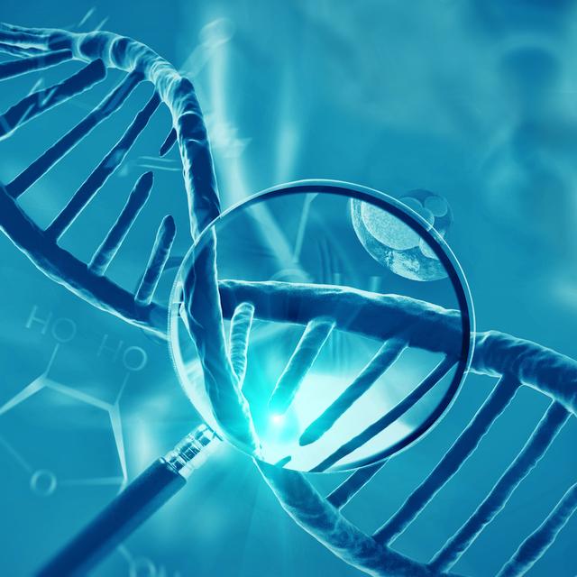 Définition | NDLR : qu'est-ce que c'est ? | Futura sciences
