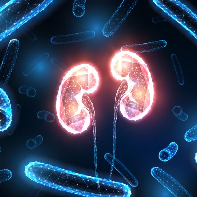 Définition | Hypervolémie : qu'est-ce que c'est ? | Futura santé