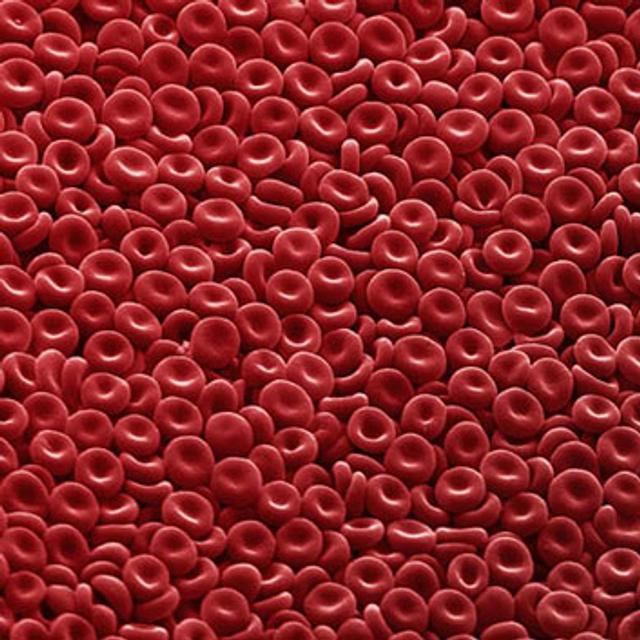 Définition | Plaquette : qu'est-ce que c'est ? | Futura santé