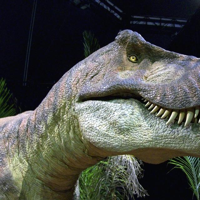 T-Rex : voici son portrait le plus fidèle
