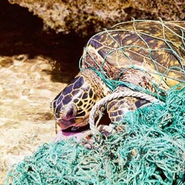 Définition | Déchet : qu'est-ce que c'est ? | Futura planète