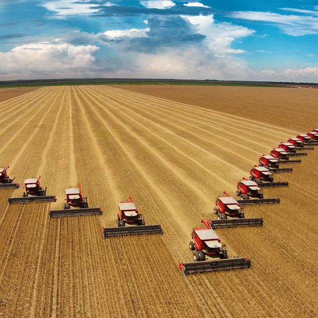 Définition | Prairie permanente : qu'est-ce que c'est ? | Futura planète