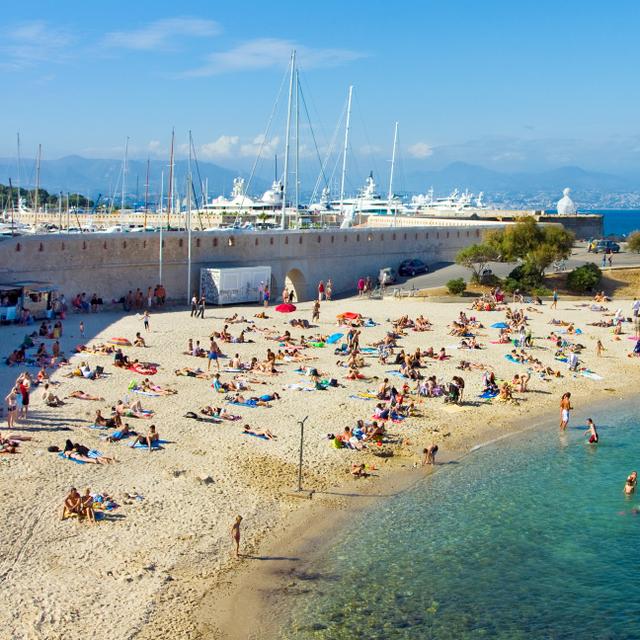 La canicule marine en Méditerranée risque de provoquer des catastrophes ...