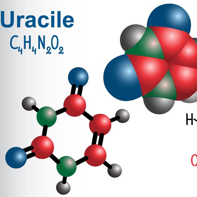 Définition | Uracile : qu'est-ce que c'est ? | Futura santé