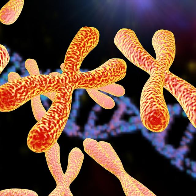 Définition | Nanisme : qu'est-ce que c'est ? | Futura santé