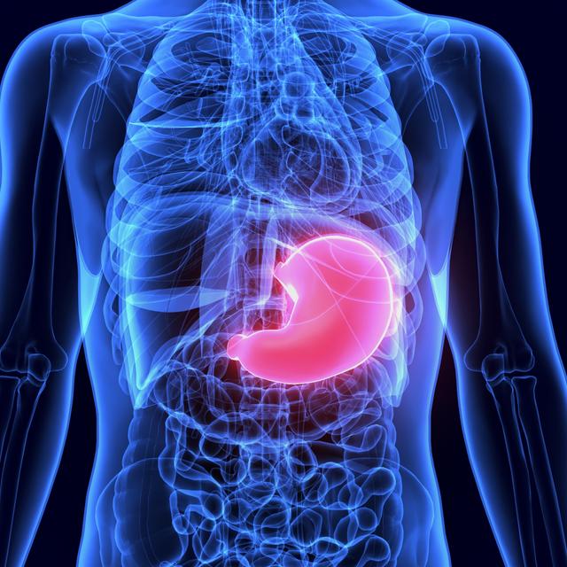 Définition | Chyme : qu'est-ce que c'est ? | Futura santé