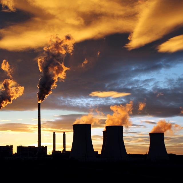 Définition | Pollution organique : qu'est-ce que c'est ? | Futura planète