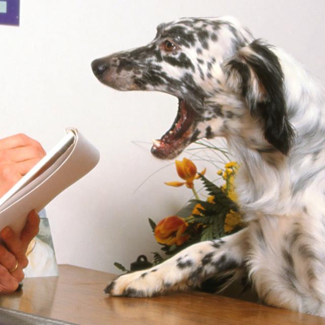 Définition | Corail : qu'est-ce que c'est ? | Futura planète