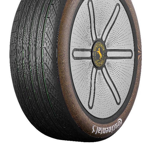 Définition | Talus continental : qu'est-ce que c'est ? | Futura planète