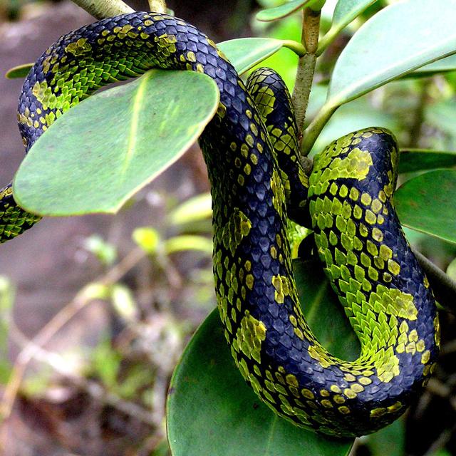 Définition | Cytométrie en flux : qu'est-ce que c'est ? | Futura santé