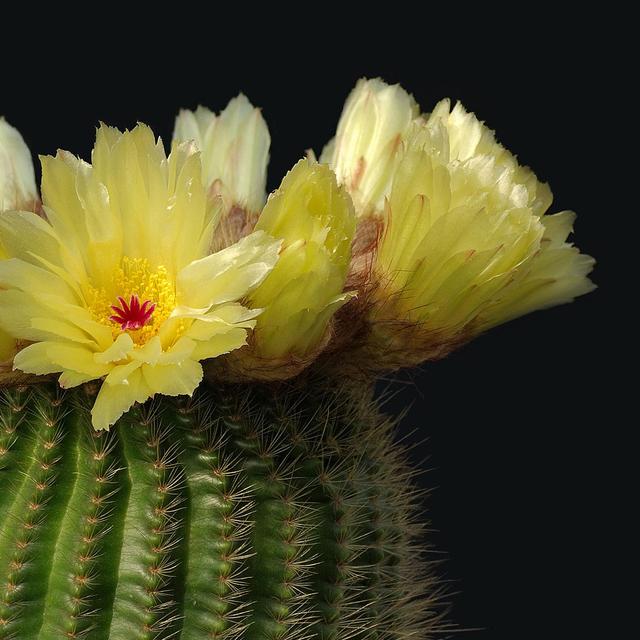 Définition | Microsoft Photos (Windows Photos) : qu'est-ce que c'est ...