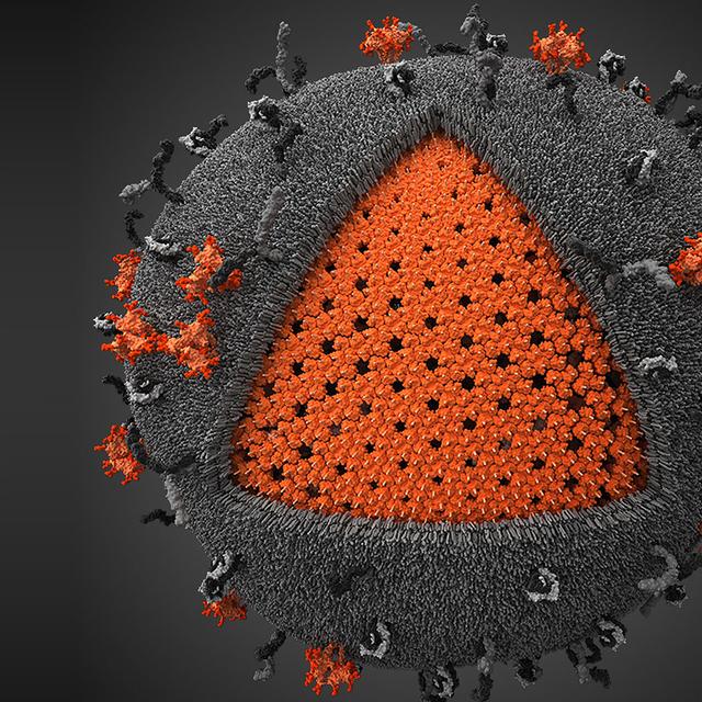 Les Photos Virus | Futura