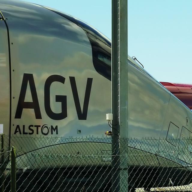 La nouvelle science de la mort : « Il se passe quelque chose dans le ...