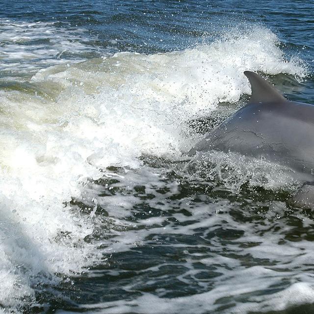 Définition | Allège : qu'est-ce que c'est ? | Futura maison
