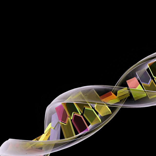 La transcription de l'ADN en ARN